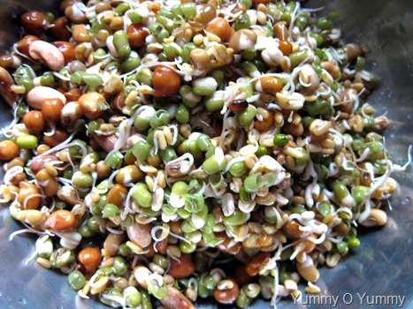 Mixed Sprouts Stir Fry / Thoran | Yummy O Yummy